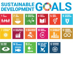 EcoForce Global | Saving our planet one tree at a time